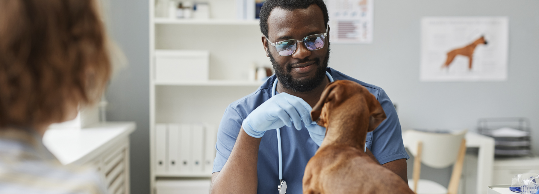 Contact Us - LA Quality Pet Care