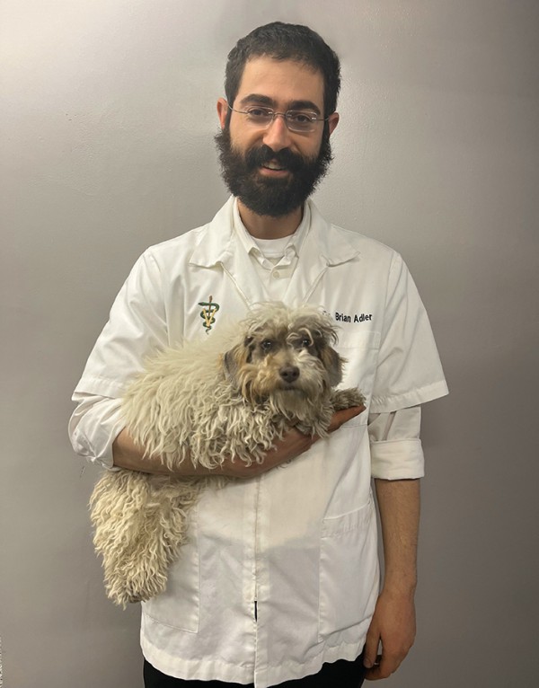 About Us - LA Quality Pet Care